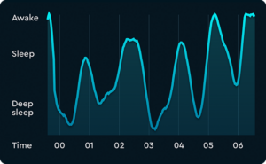 7 Evening Routine Tips for a Refreshed and Productive Day | Wendaful ...