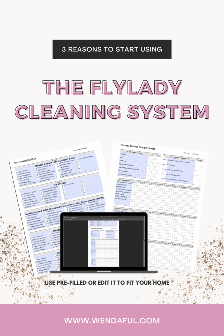 3 Reasons to Start Using the FlyLady Cleaning System Now! | Wendaful ...